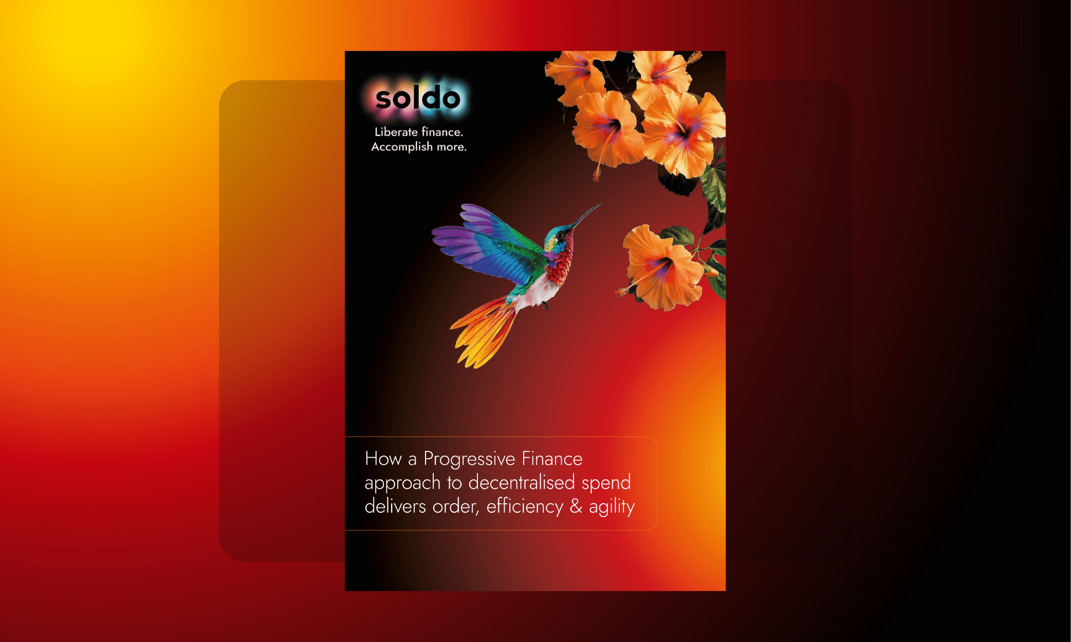 The Transformative Value of Progressive Finance | Soldo